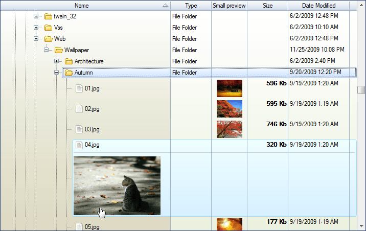 Screenshots - Flexible TreeView